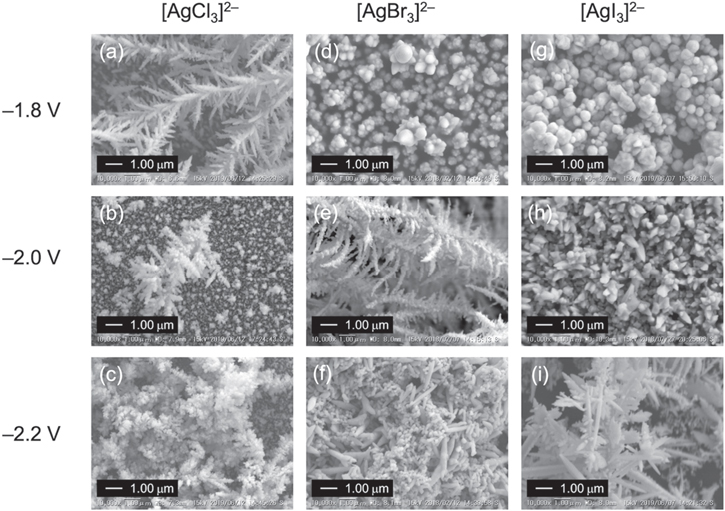 Electrochemical Behavior of Silver Halogenocomplexes in an Amide-Type ...