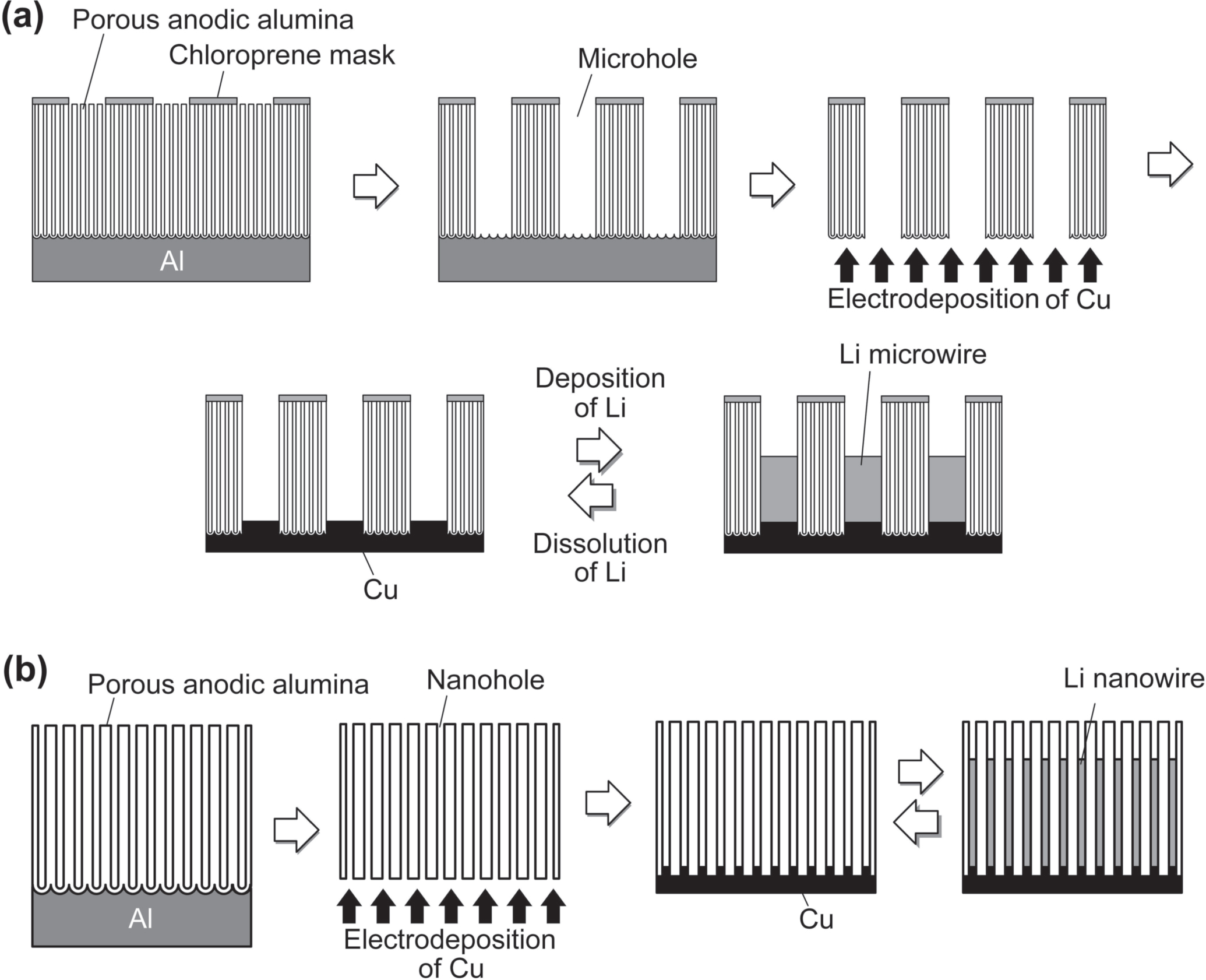 Electrodeposition and Electrodissolution of Li Metal in Nanohole Arrays ...