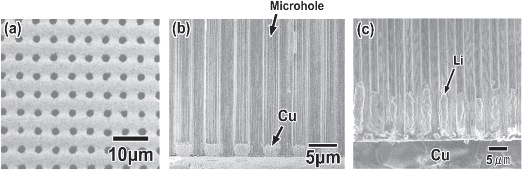 Electrodeposition and Electrodissolution of Li Metal in Nanohole Arrays ...