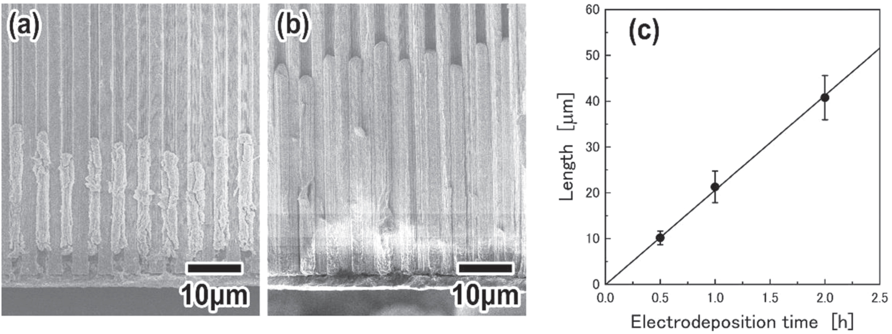Electrodeposition and Electrodissolution of Li Metal in Nanohole Arrays ...
