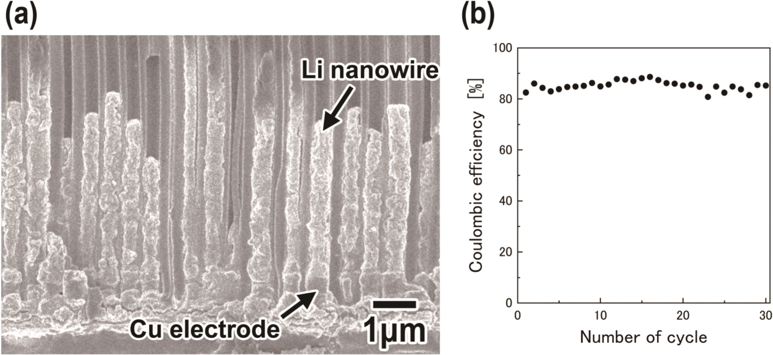 Electrodeposition and Electrodissolution of Li Metal in Nanohole Arrays ...