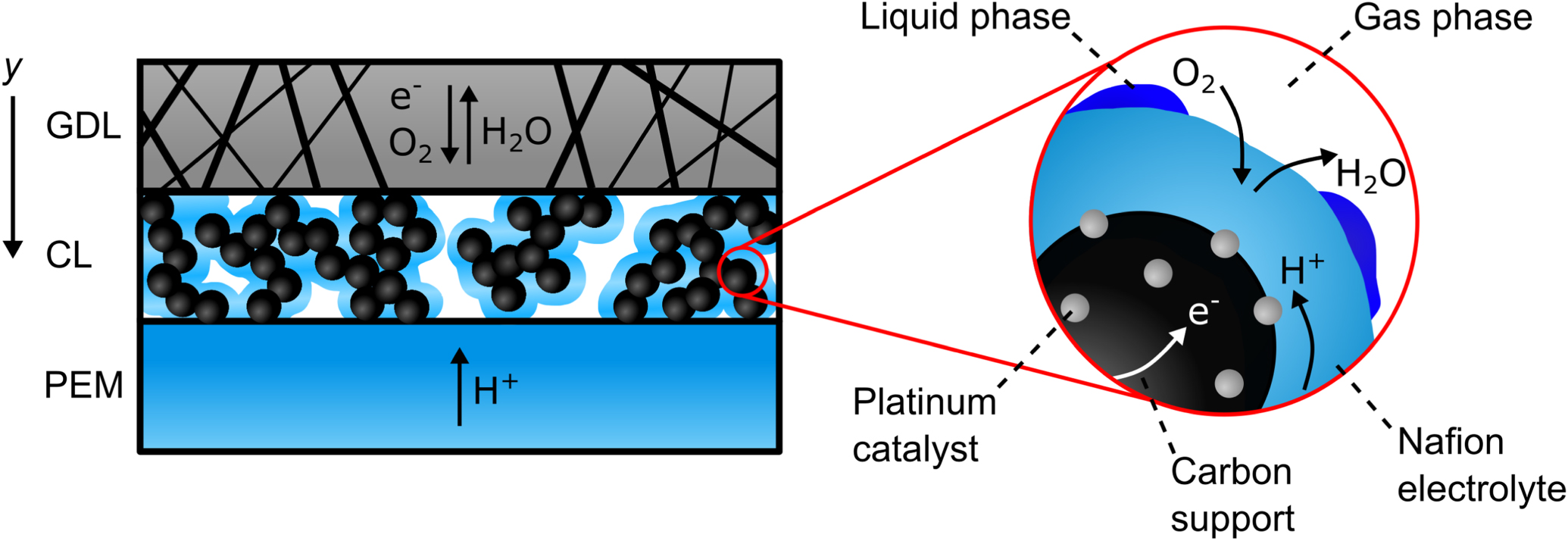 Predicted Impacts of Pt and Ionomer Distributions on Low-Pt-Loaded ...