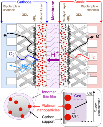 An Analytical Approximation for the Ionomer Film Model in PEMFC ...