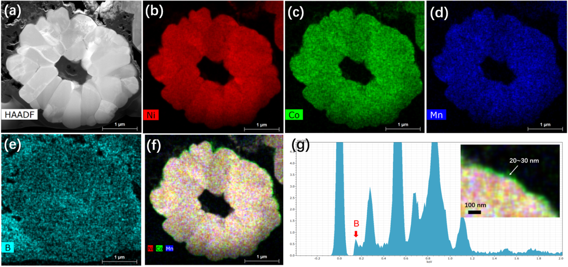On The Efficacy of Cobalt Boride Coating on NMC-811 Cathode Under ...