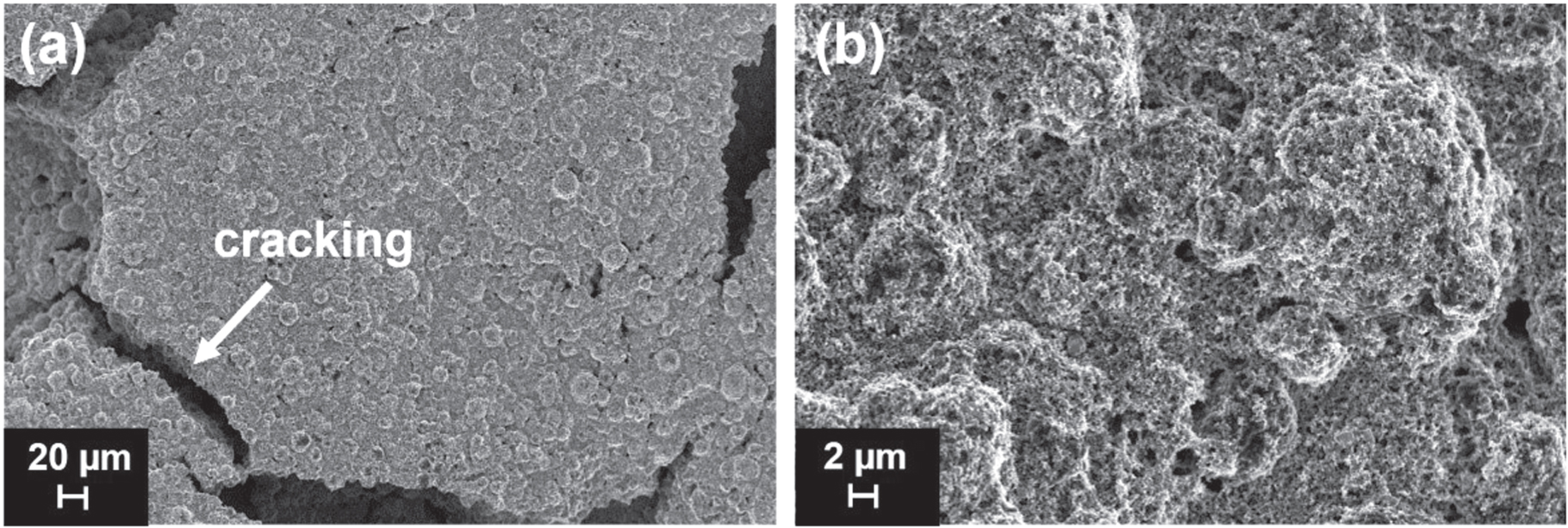 From Lab to Manufacturing Line: Guidelines for the Development and ...