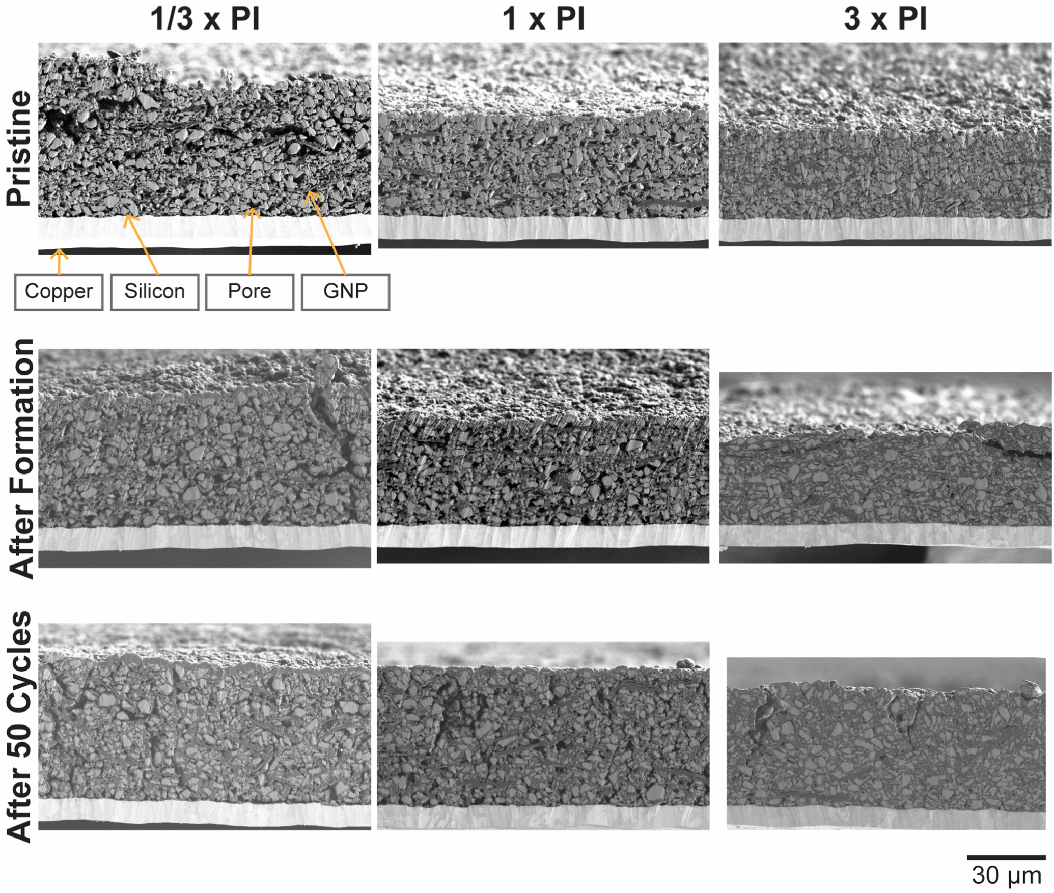 Effect of Binder Content on Silicon Microparticle Anodes for Lithium ...