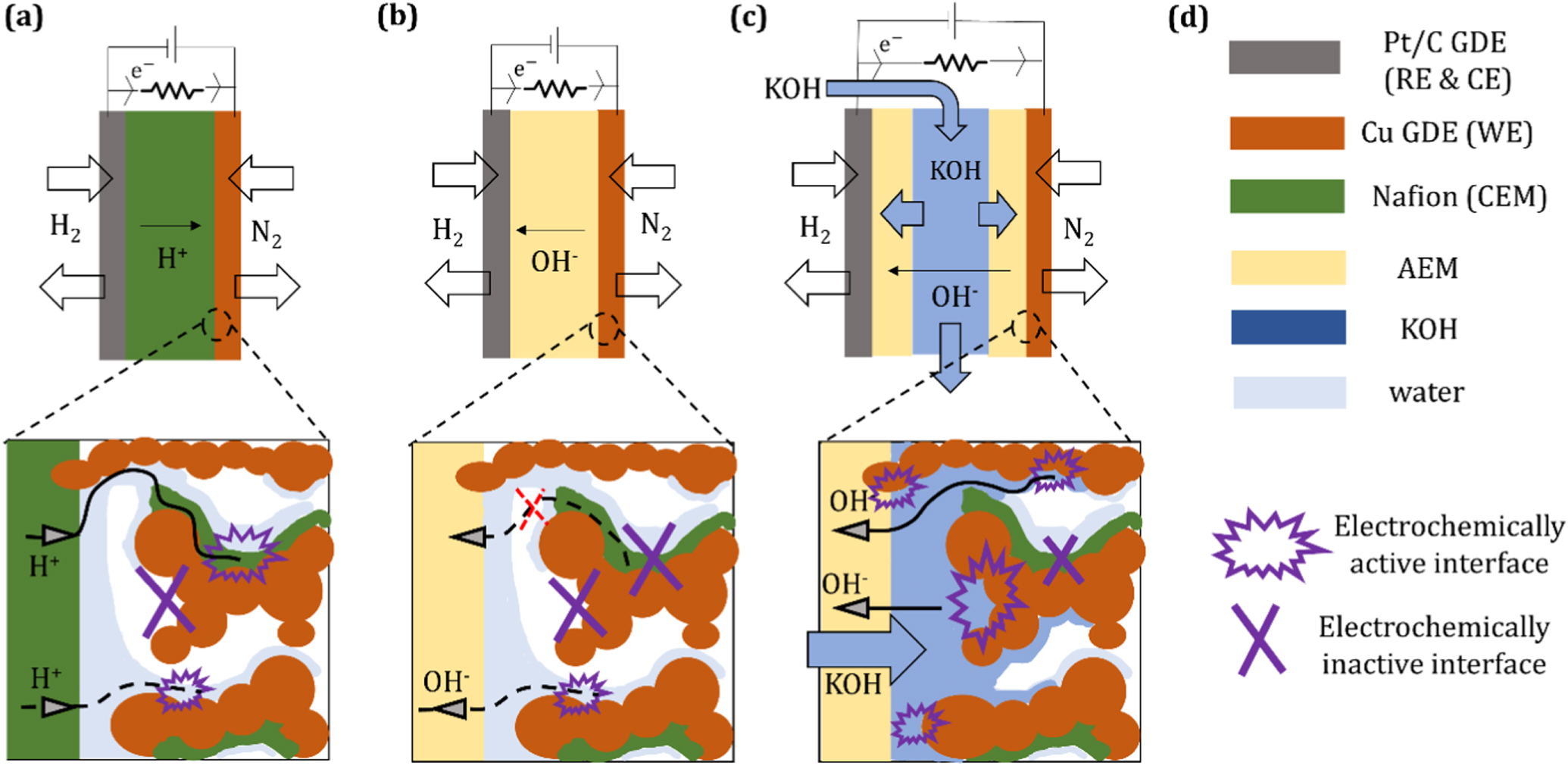 Anolyte Enhances Catalyst Utilization and Ion Transport Inside a CO2 ...