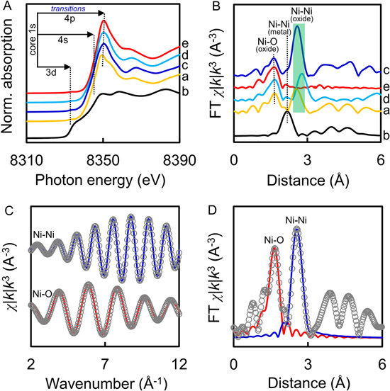 Critical Role of the NiO–Ni(OH)2 Species Loaded Onto TiO2 Photocatalyst ...