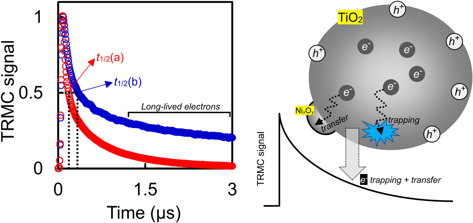 Critical Role of the NiO–Ni(OH)2 Species Loaded Onto TiO2 Photocatalyst ...