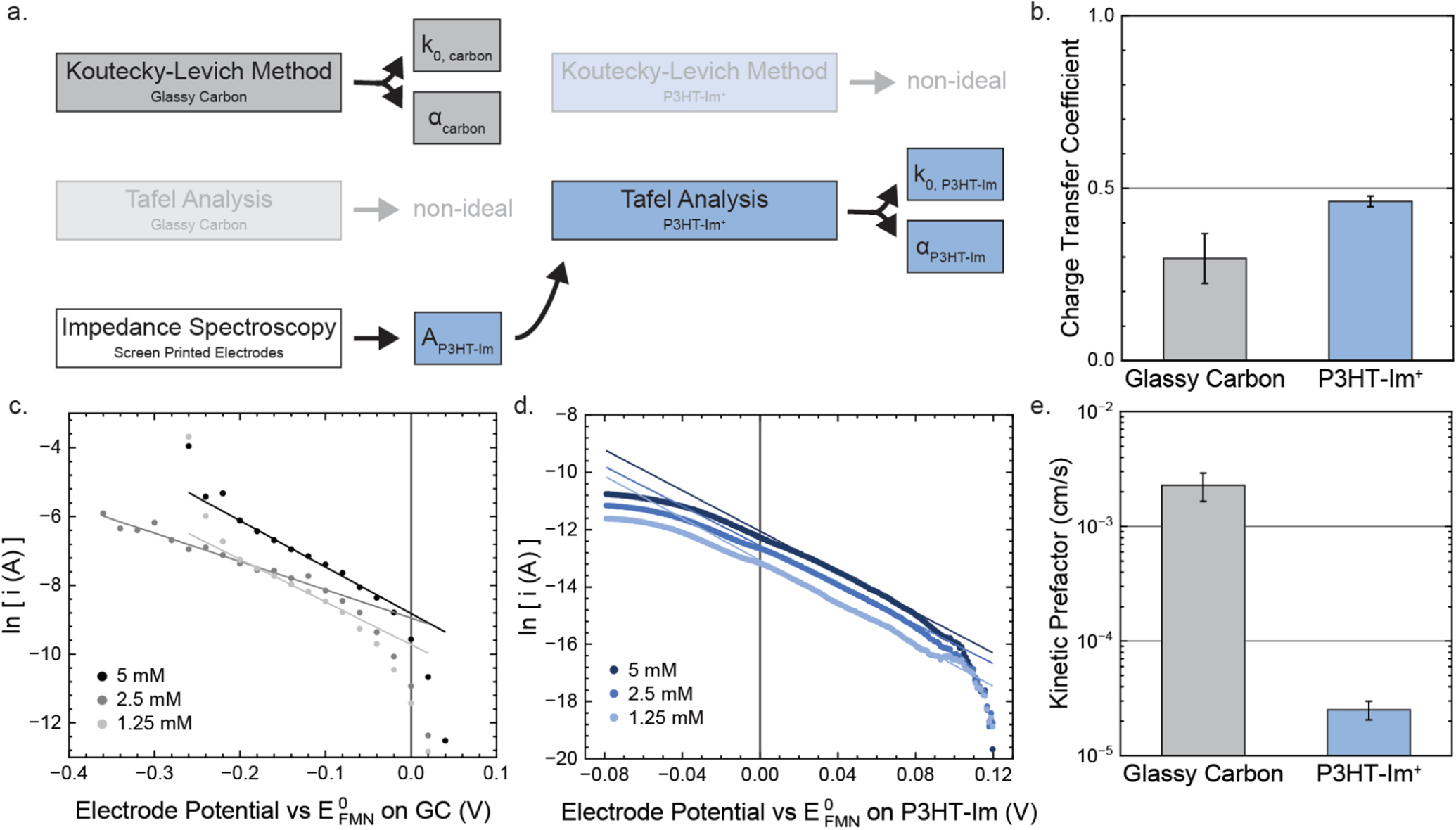 Electrochemical Characterization of Biomolecular Electron Transfer at ...