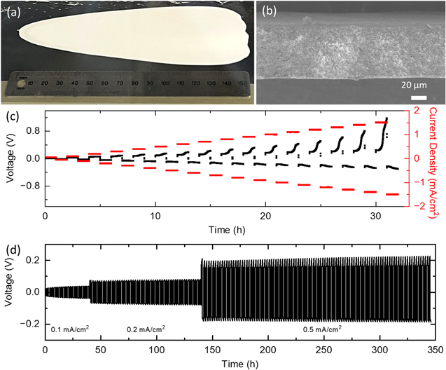 Tape Casting of Thin Electrolyte and Thick Cathode for Halide-Based All ...