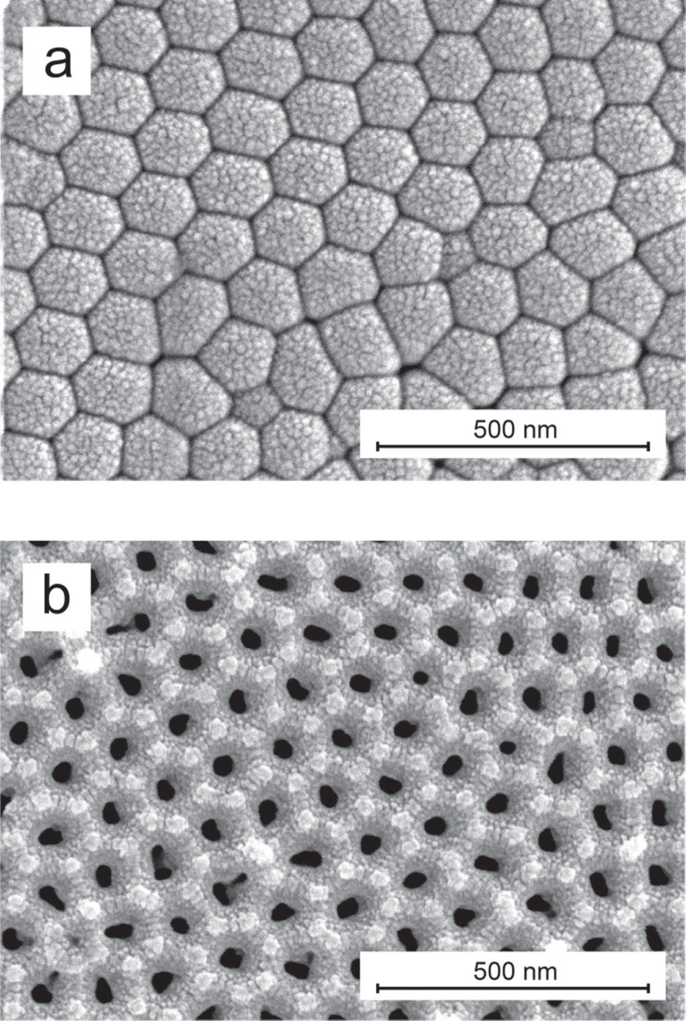 Influence of Induced Local Stress on The Morphology of Porous Anodic ...