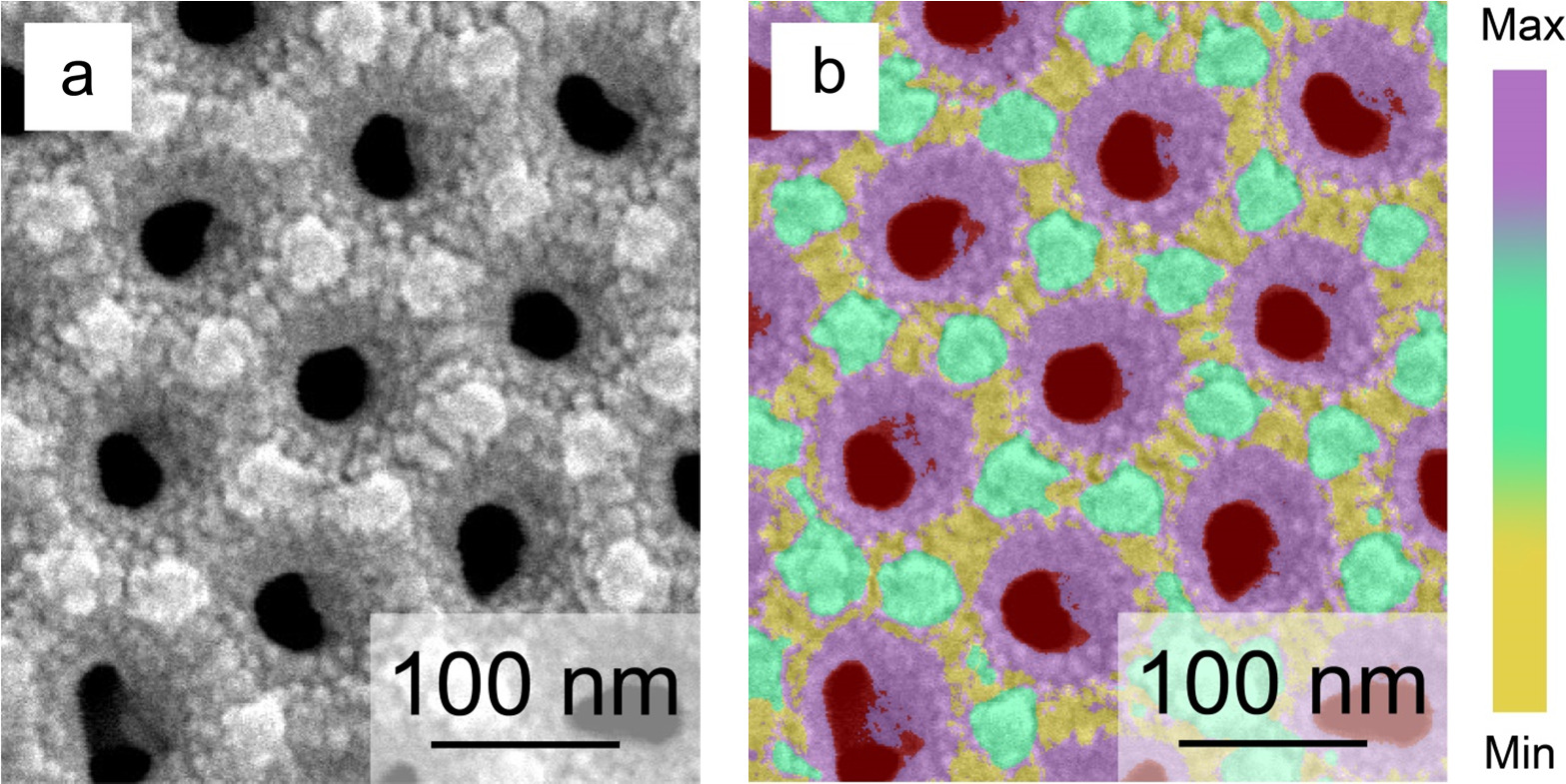 Influence of Induced Local Stress on The Morphology of Porous Anodic ...