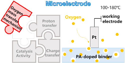 Insights into Oxygen Mass Transport Mechanisms in High-Temperature Proton Exchange Membrane Fuel ...