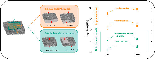 Determination of the Orthotropic Mechanical Elastic Properties of Gas Diffusion Layers for ...