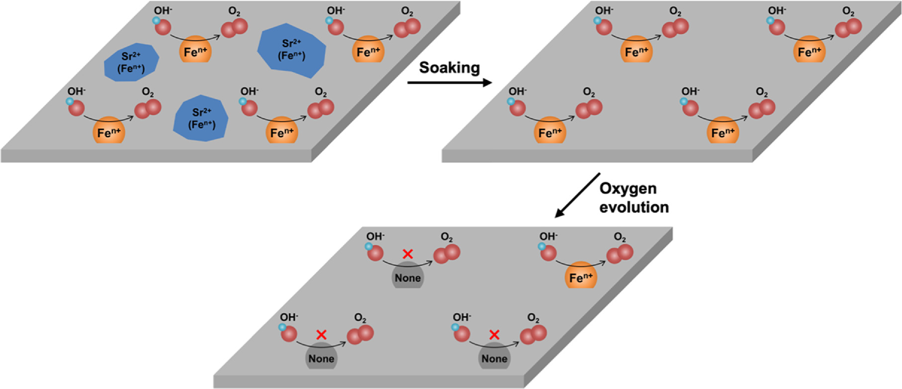 Understanding the Degradation of La1−x Sr x FeO3−δ (0 ≤ x ≤ 1) Perovskite Oxides during the ...