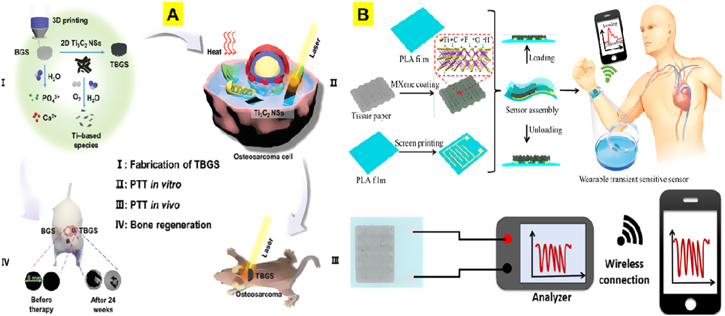 Nanoengineering of MXene-Based Field-Effect Transistor Gas Sensors ...