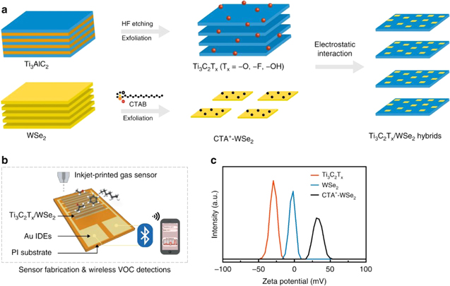 Nanoengineering of MXene-Based Field-Effect Transistor Gas Sensors ...