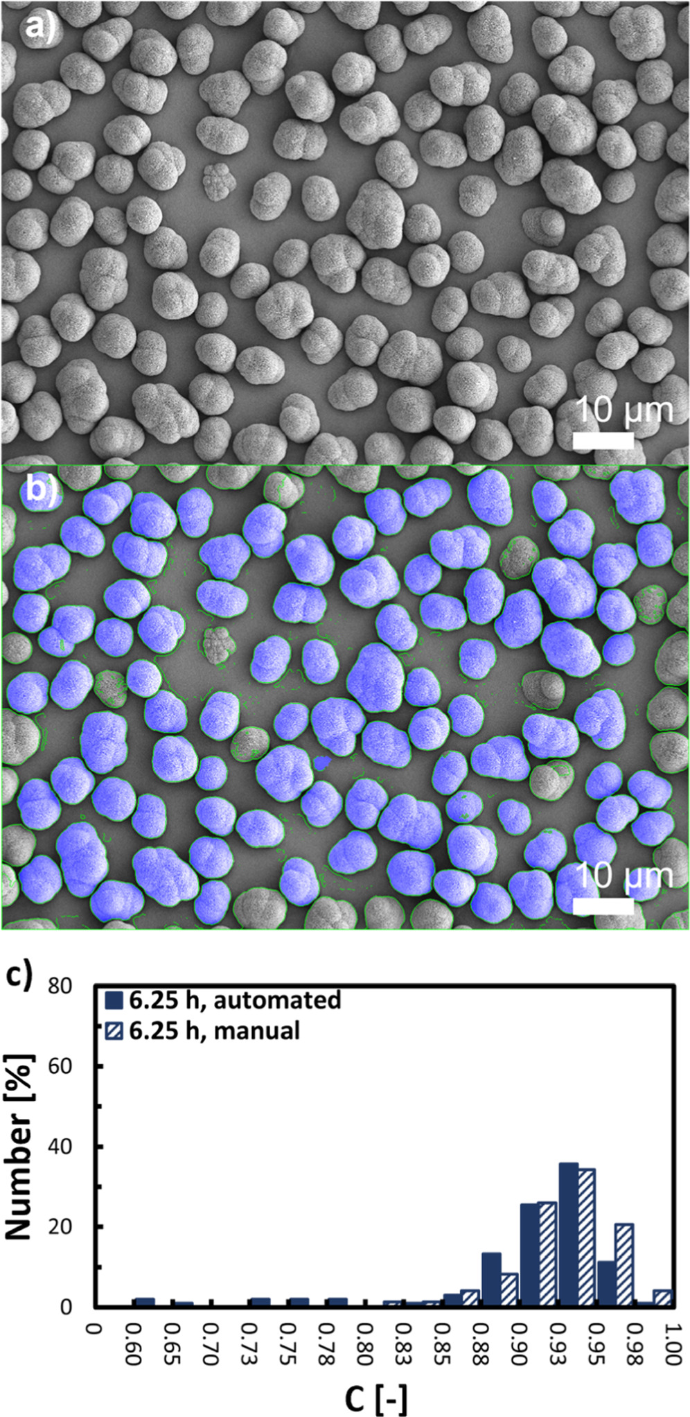Investigation of the Particle Formation Mechanism during ...
