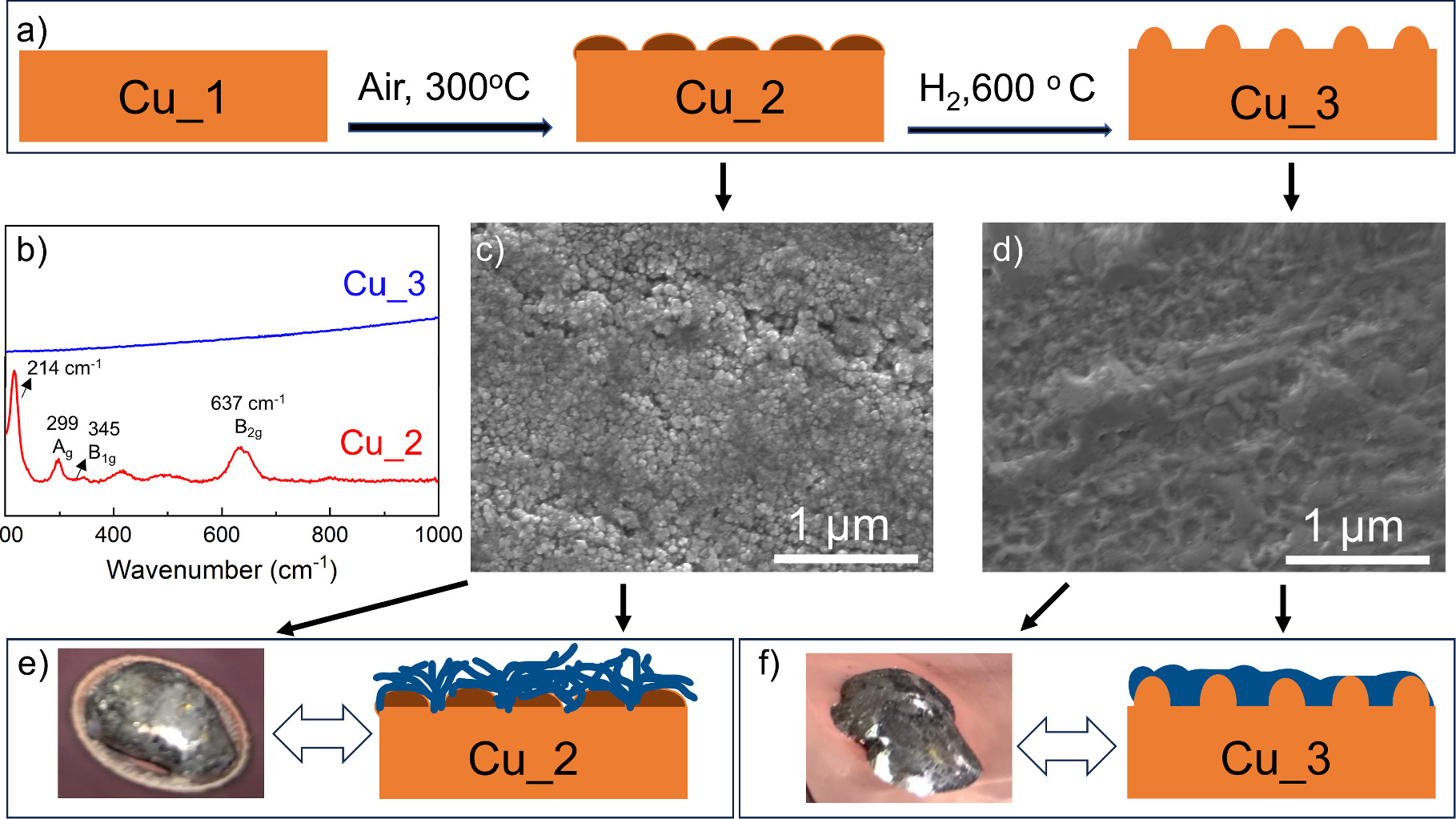 Metallic Cu Surface Enables Reversible Na Metal Anodes and Stabilizes ...