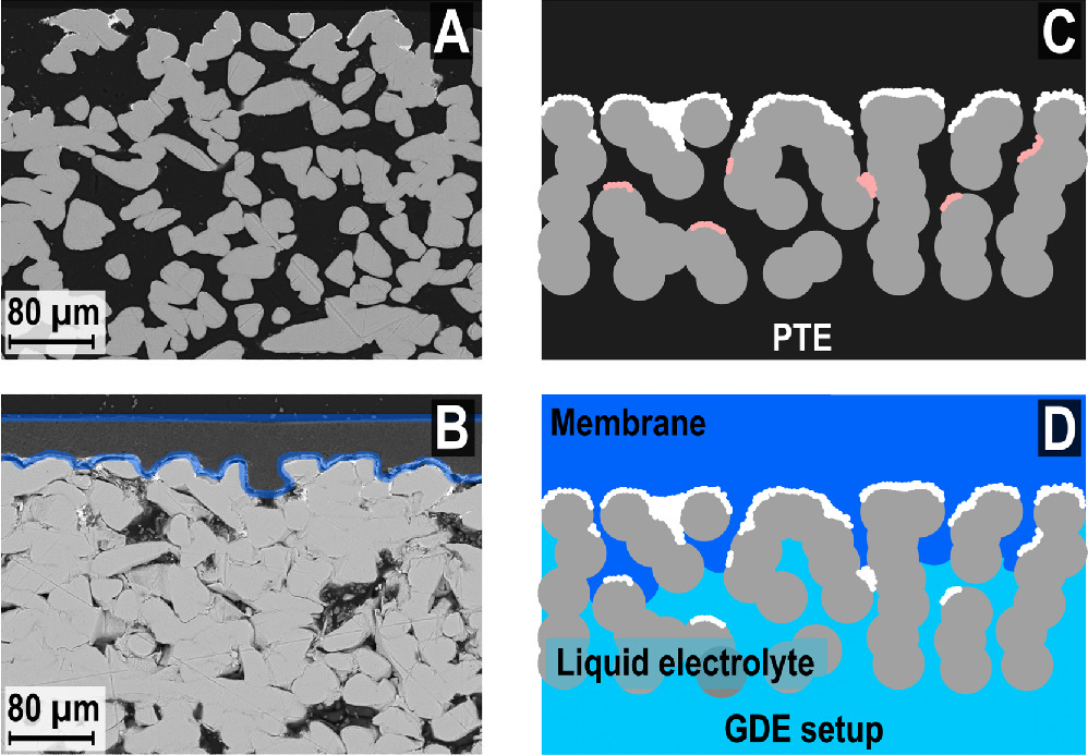 Investigation of Iridium-Based OER Catalyst Layers in a GDE Half-Cell ...