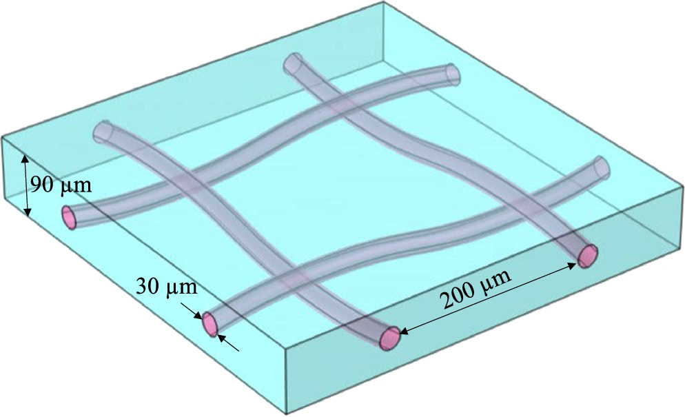 Structural Mechanics Analysis of Woven Web Reinforced Membranes in ...