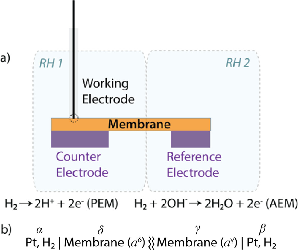 Electrochemical Measurement of Water Transport Numbers in Anion ...