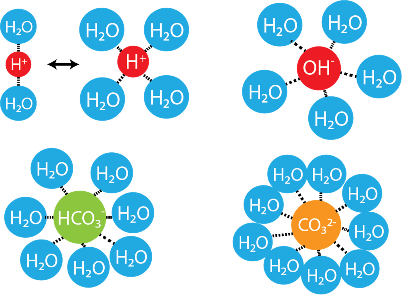 Electrochemical Measurement of Water Transport Numbers in Anion-Exchange Membranes - IOPscience