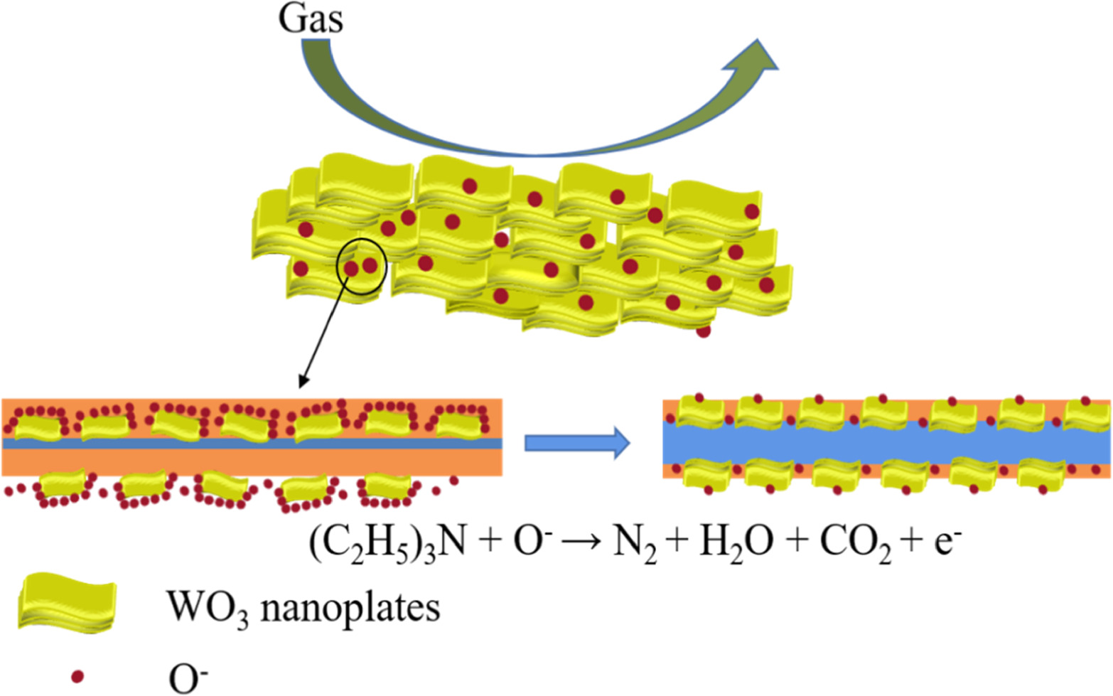 Semiconductor-Type Triethylamine Sensor for Food Detection Based on WO3 ...