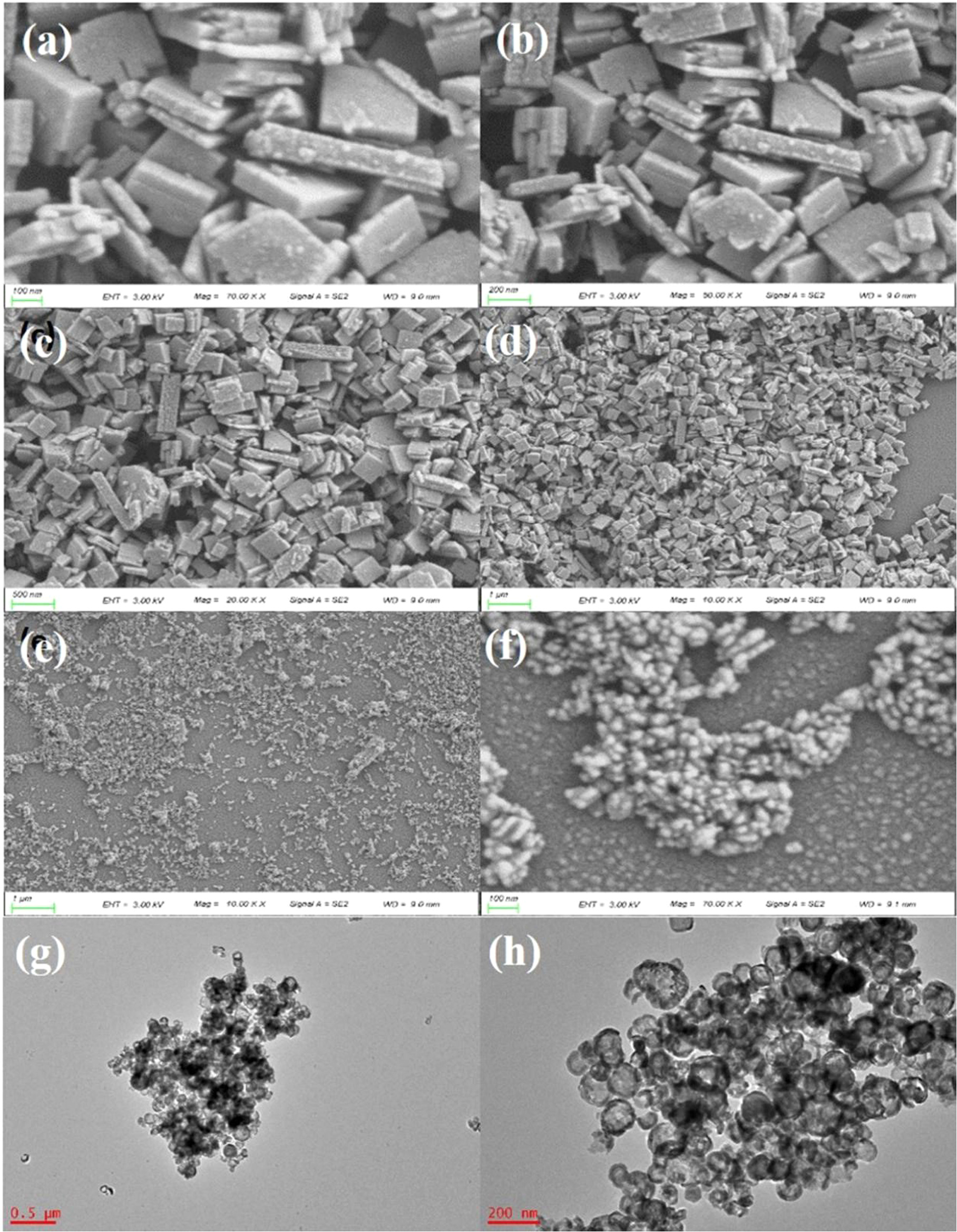 Semiconductor-Type Triethylamine Sensor for Food Detection Based on WO3 ...