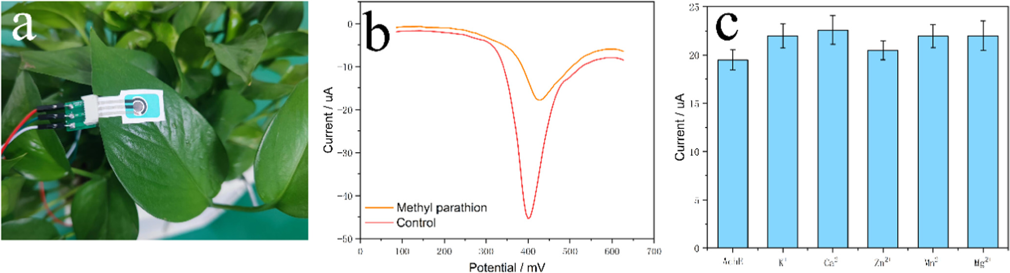 Wearable Electrochemical Biosensors for In Situ Pesticide Analysis from ...