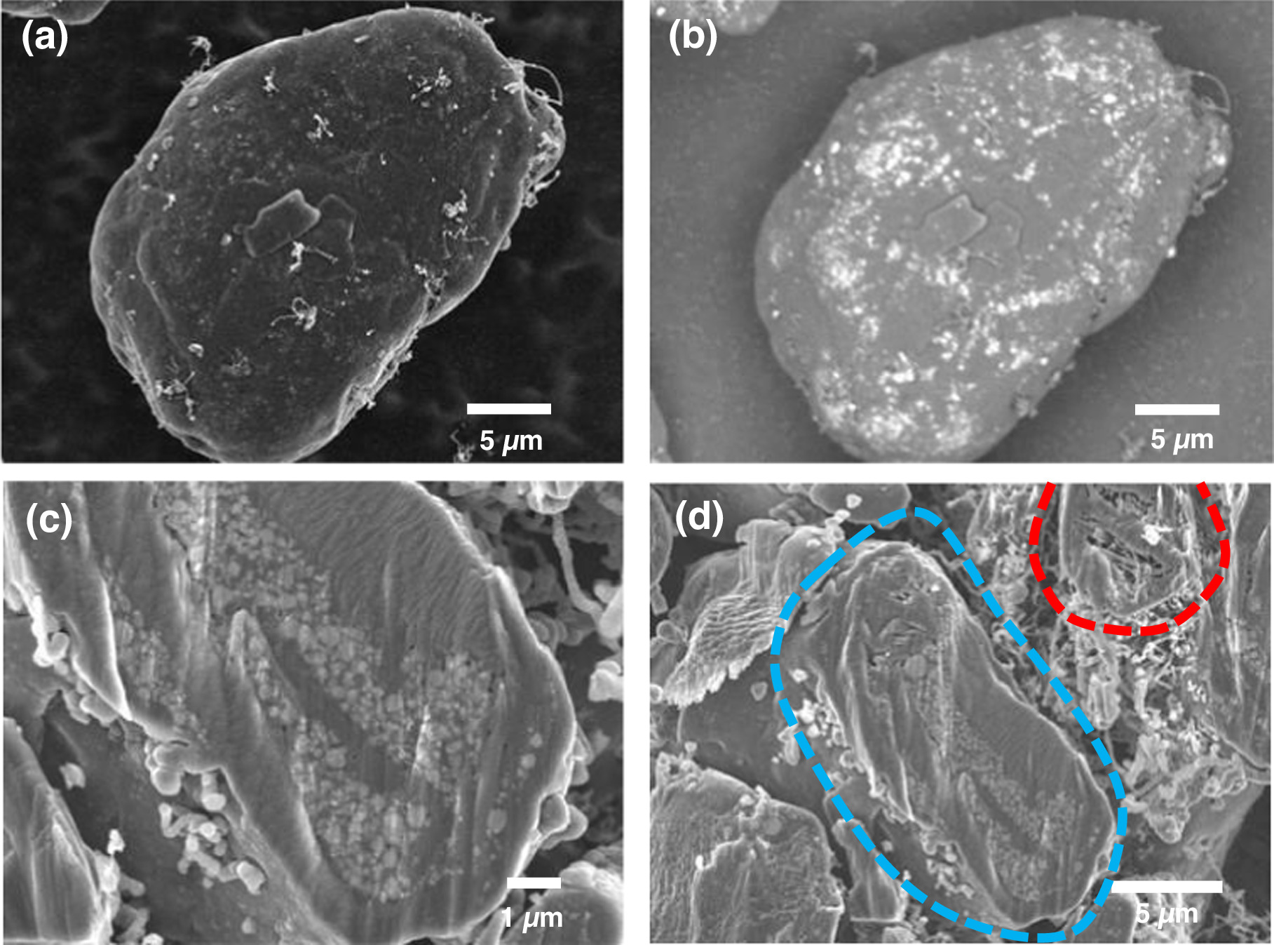 Nano-Si Filled Graphite Anode Particles by Mechanofusion - IOPscience