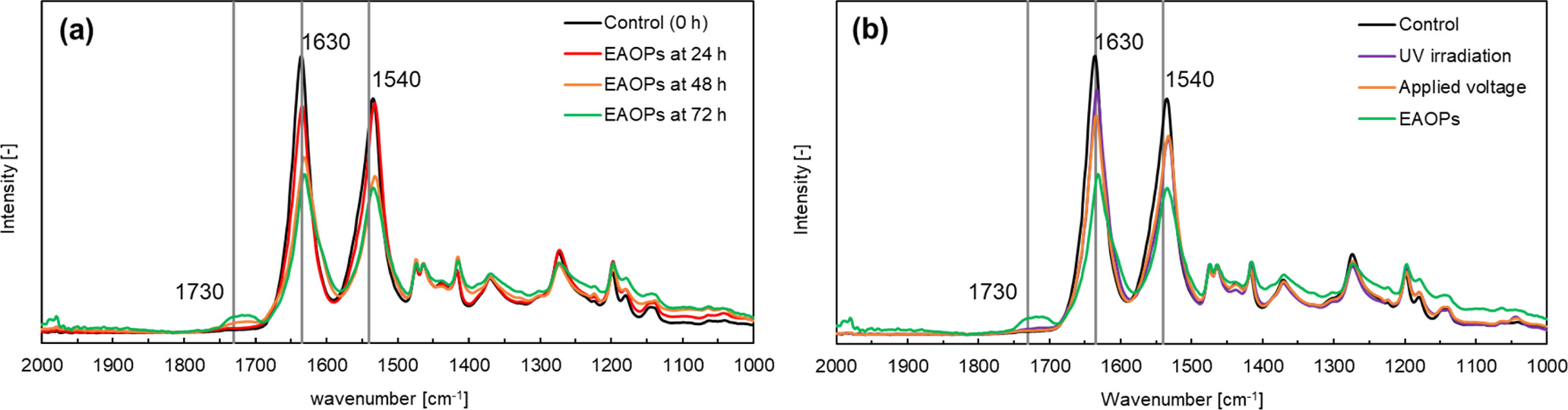 Promoting Degradation of Polyamide-Microplastic Fibers Using Hydroxy ...