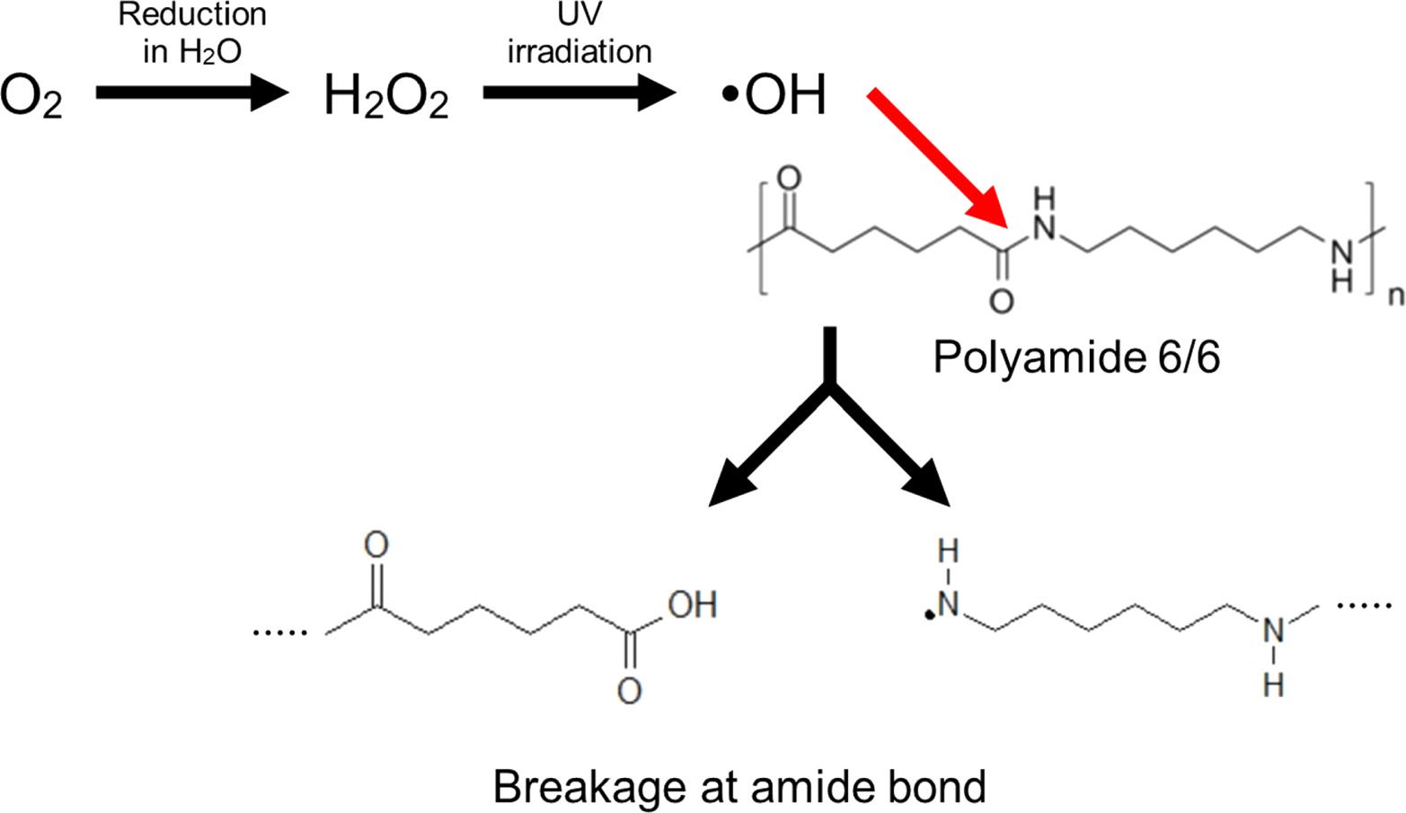 Promoting Degradation of Polyamide-Microplastic Fibers Using Hydroxy ...