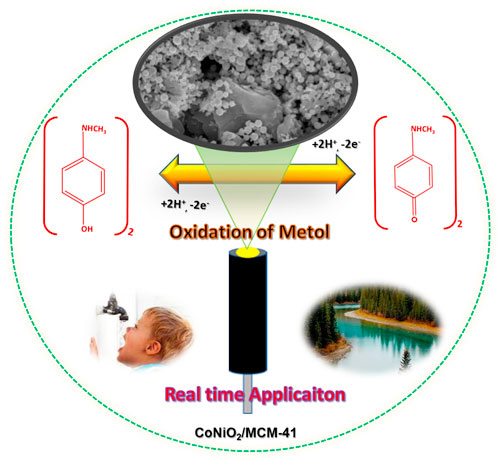 Electrochemical Detection of Metol through the Cobalt Nickel Oxide ...