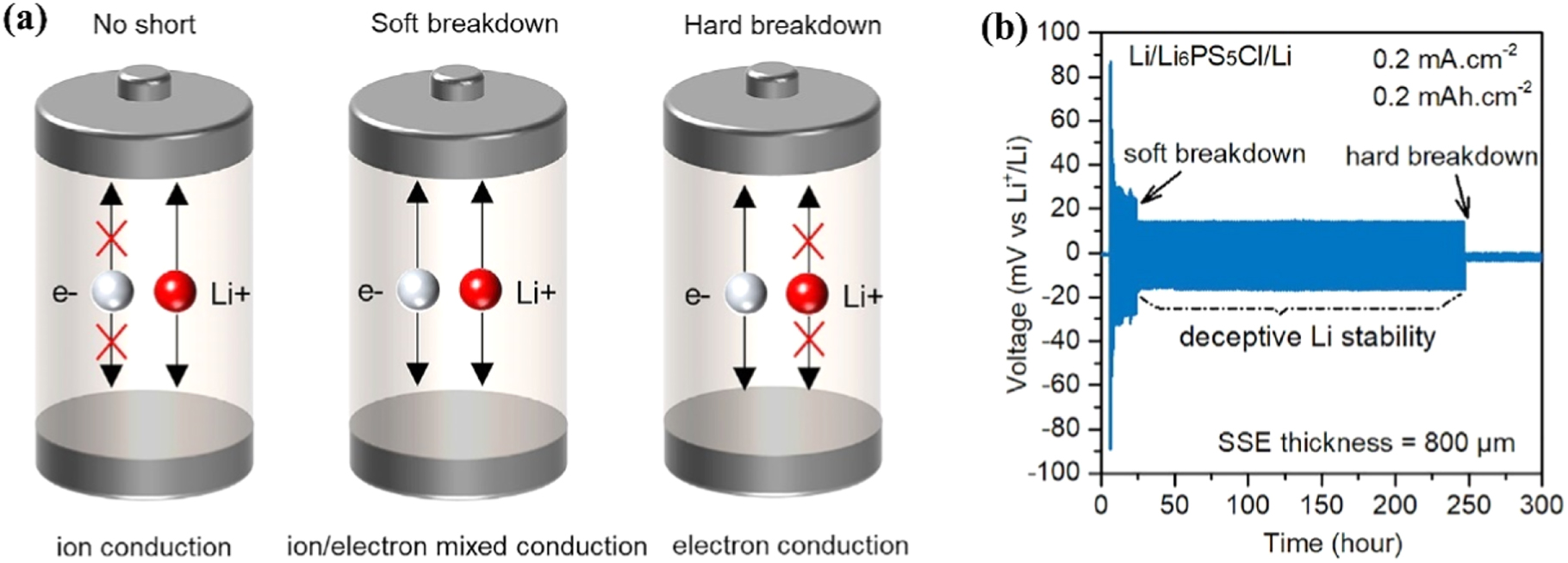 Symmetric Cells as an Analytical Tool for Battery Research: Assembly ...