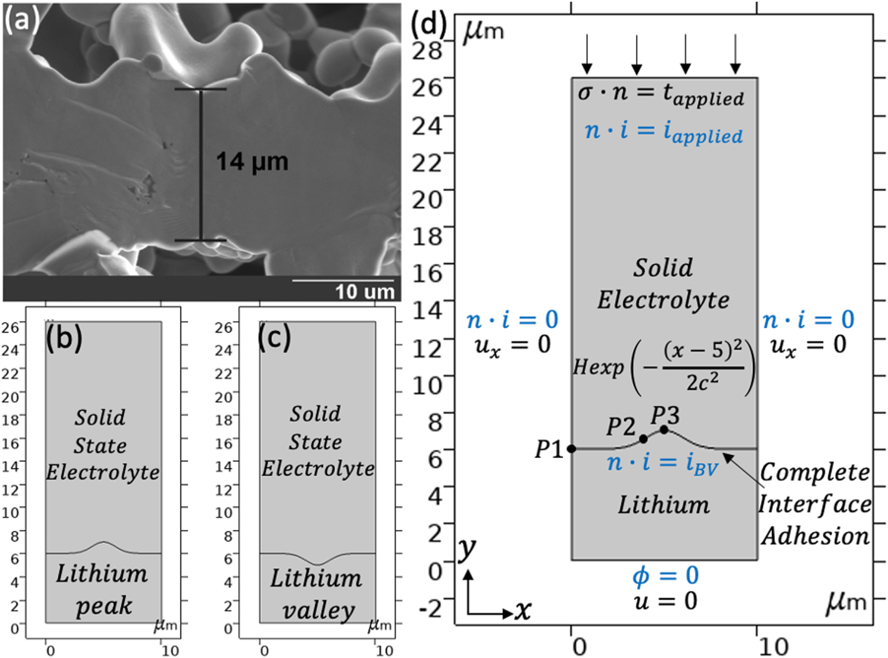 Modeling How Interface Geometry and Mechanical Stress Affect Li Metal ...