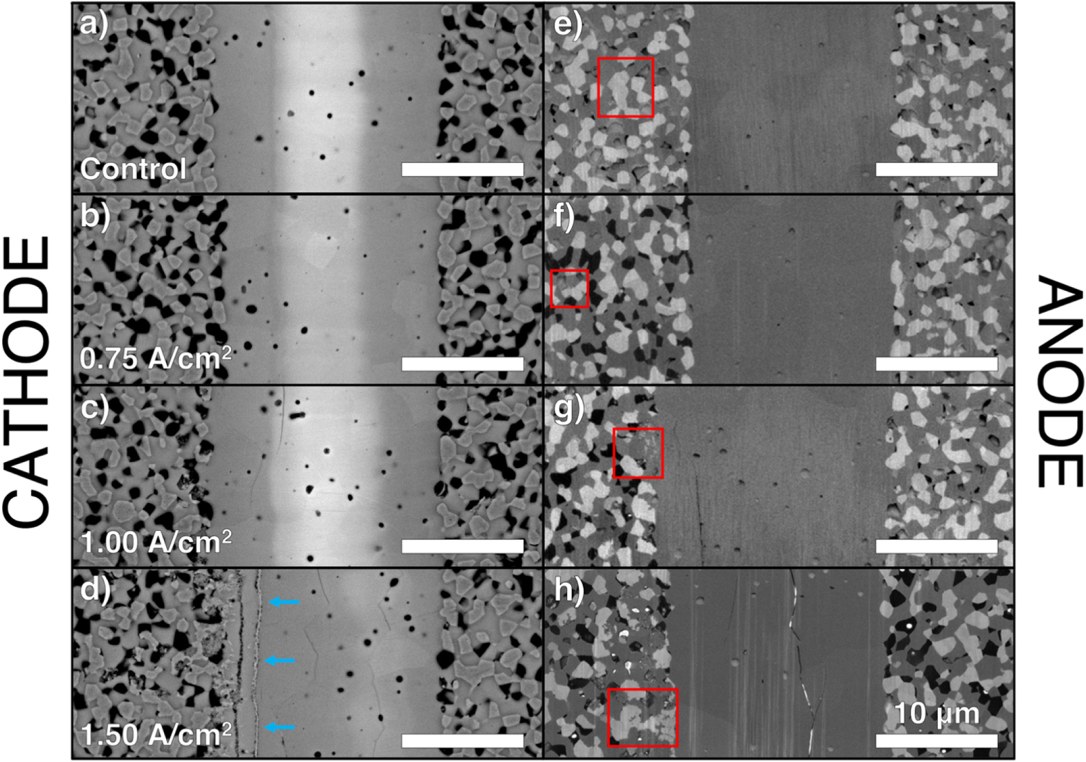 A Method for Time-Resolved Characterization of Polarization-Induced ...