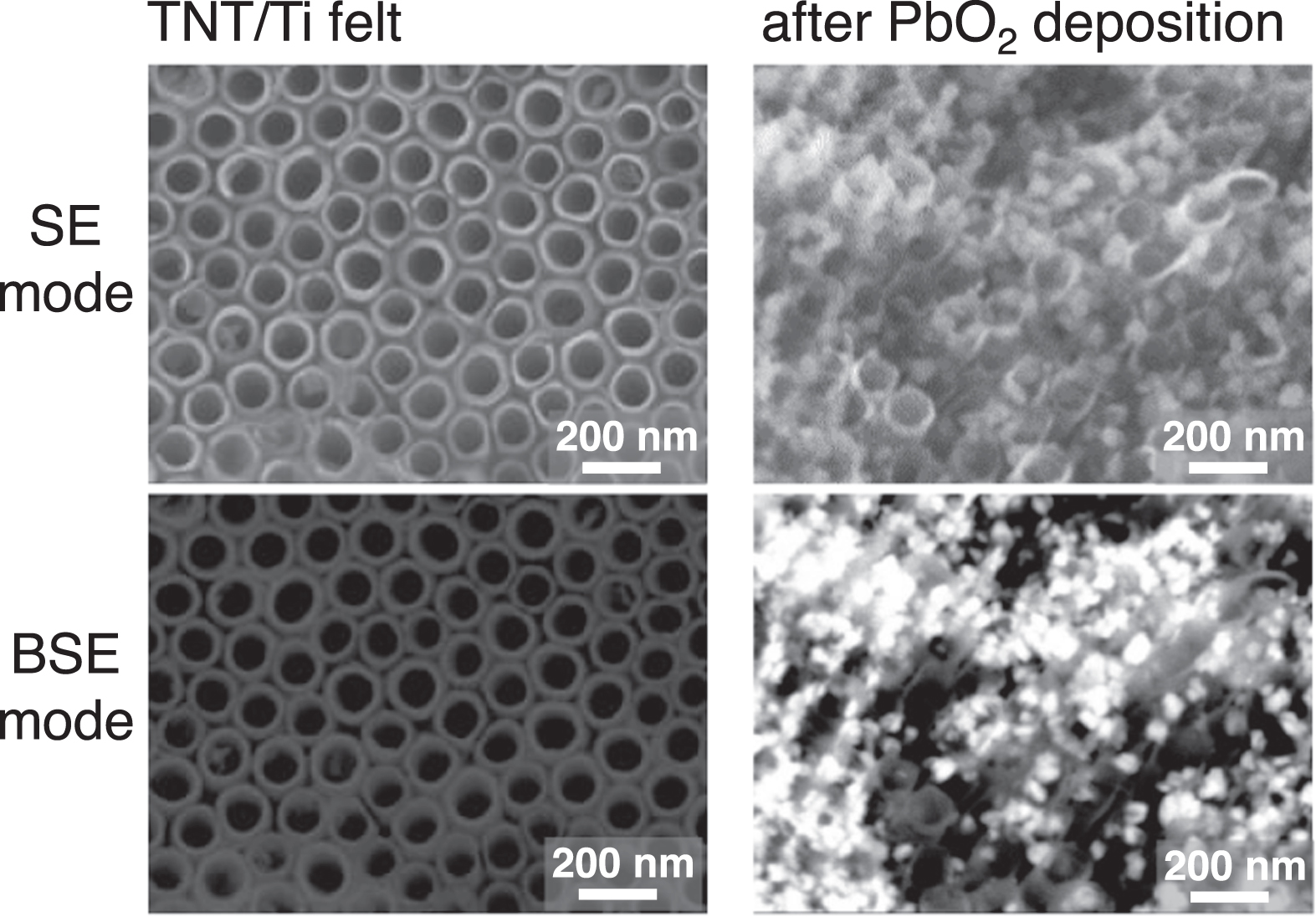 Clarification of Photoelectrochemical Oxygen Evolution Sites in TiO2 ...