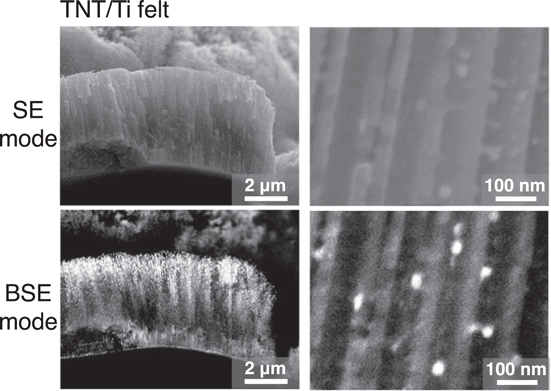 Clarification of Photoelectrochemical Oxygen Evolution Sites in TiO2 ...