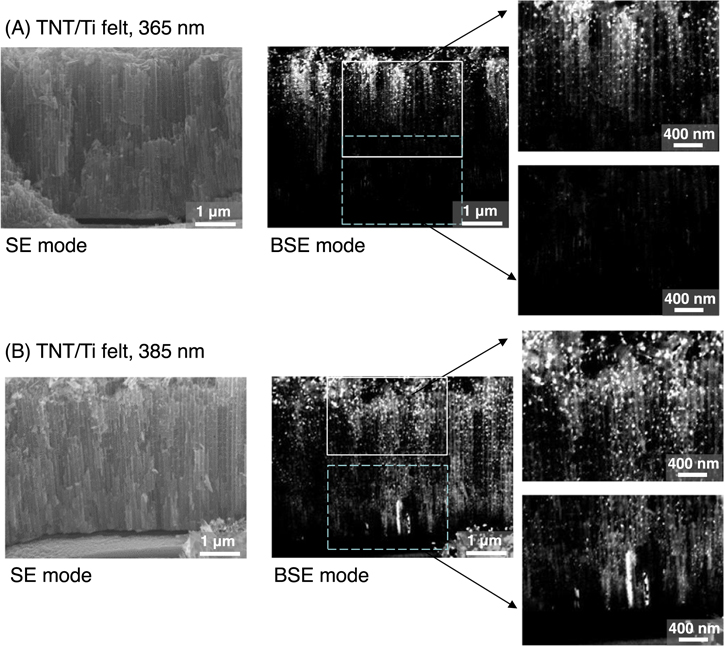 Clarification of Photoelectrochemical Oxygen Evolution Sites in TiO2 ...