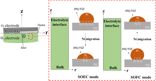 Understanding the Ni Migration in Solid Oxide Cell: A Coupled ...