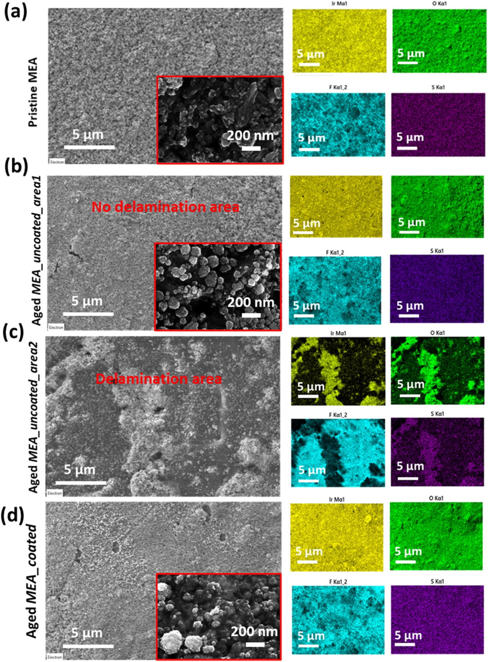 Degradation Effects at the Porous Transport Layer/Catalyst Layer ...
