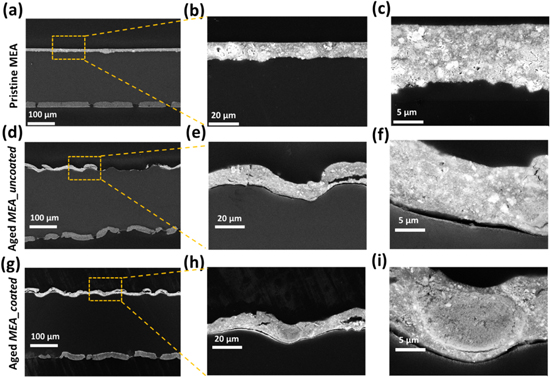 Degradation Effects at the Porous Transport Layer/Catalyst Layer ...