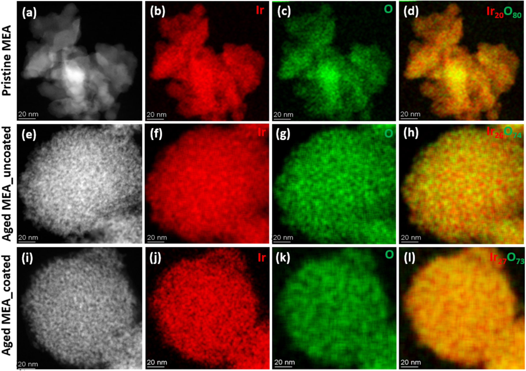 Degradation Effects at the Porous Transport Layer/Catalyst Layer ...