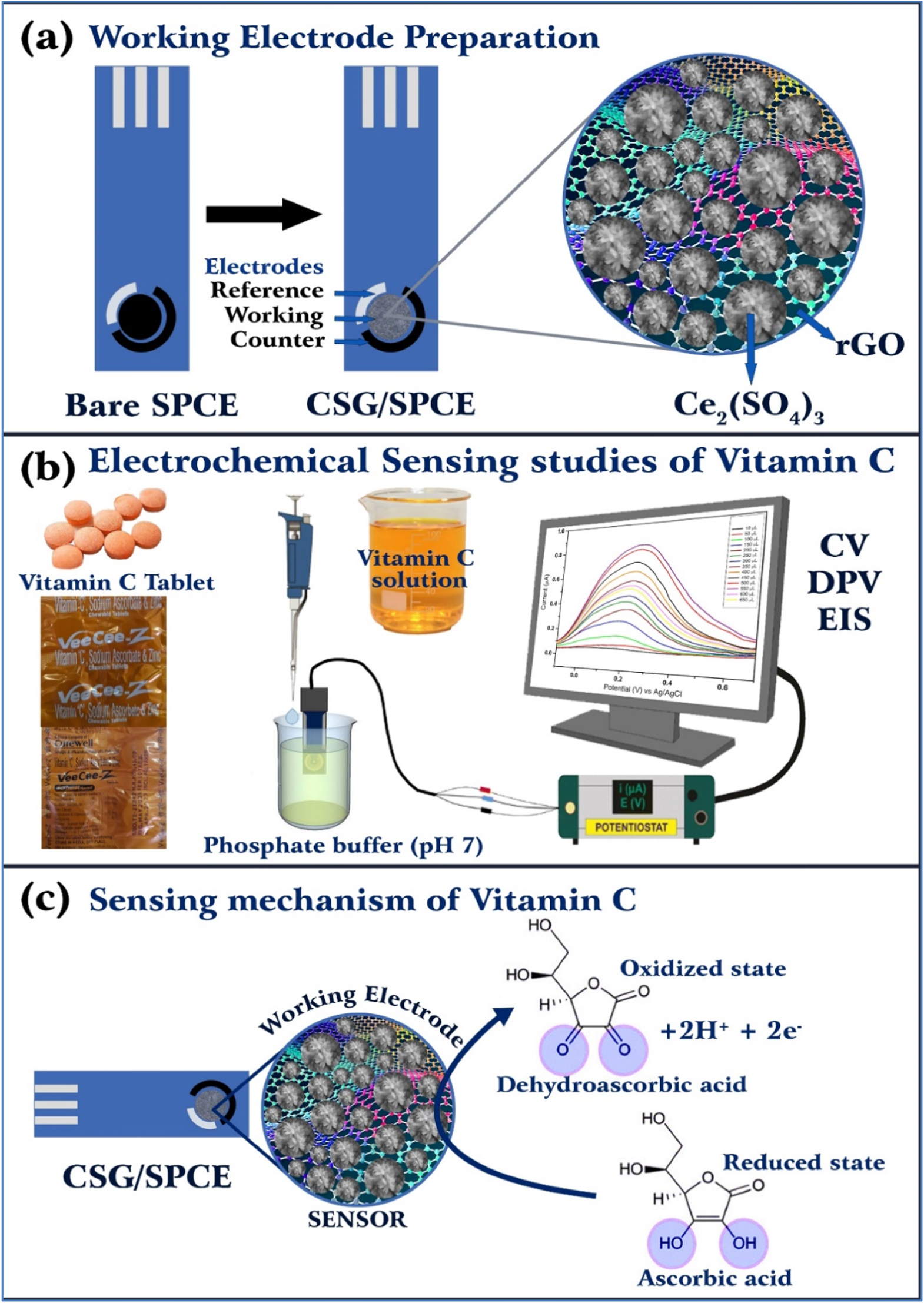 Development of a Non-Enzymatic Vitamin-C Electrochemical Sensor Based ...