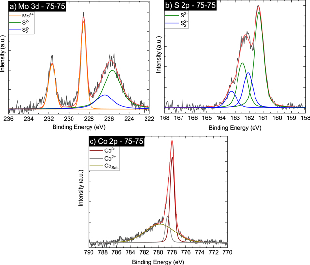 Electrodeposited Heterostructures of Cobalt Sulfide/Molybdenum Sulfide ...