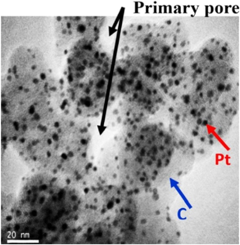 Pore-Scale Simulation of Effective Transport Coefficients in the ...