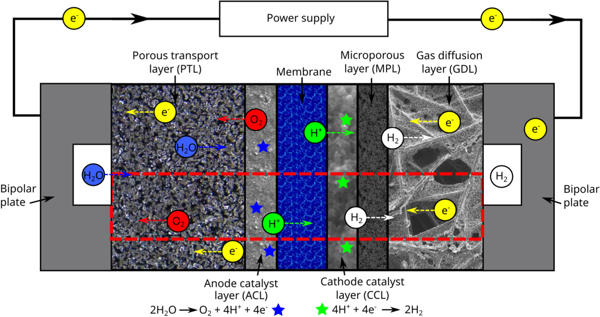 Numerical Study of the Impact of Two-Phase Flow in the Anode Catalyst ...