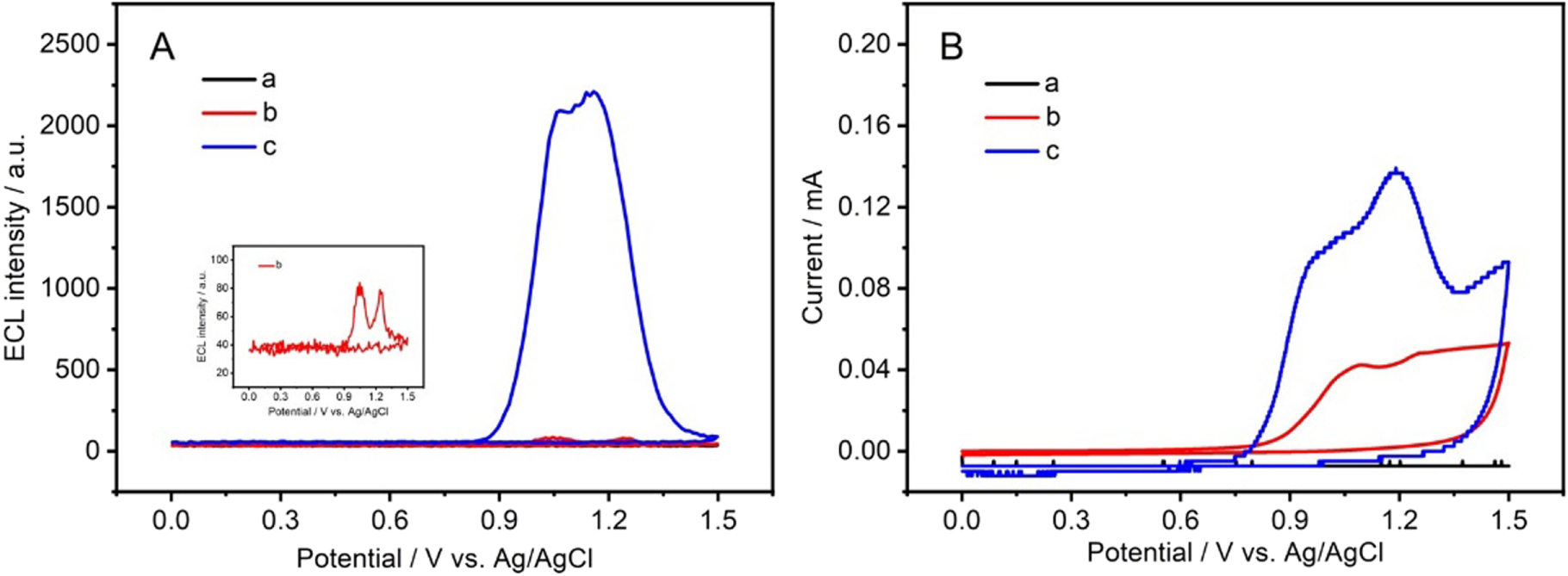 Pyronin Derivatives as Efficient Electrochemiluminescence Emitters in ...